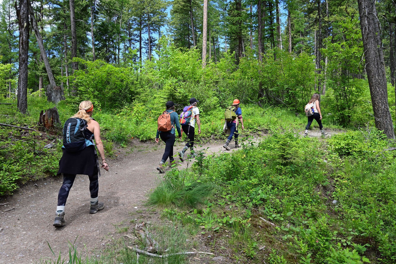 Exploring Whitefish, Montana: Exciting Activities Beyond Glacier ...