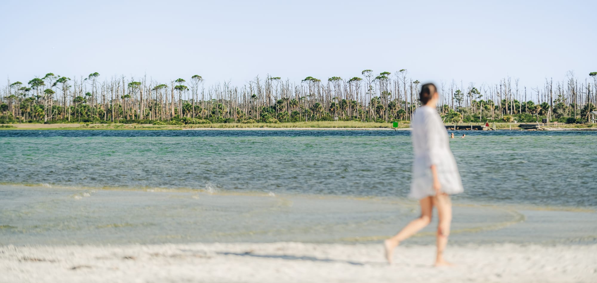 Indian Pass Cape San Blas Vacation Rentals | The Forgotten Coast | 360 Blue